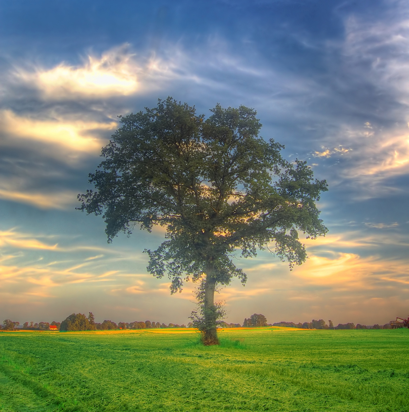 LEADERS – WHFR Legacy